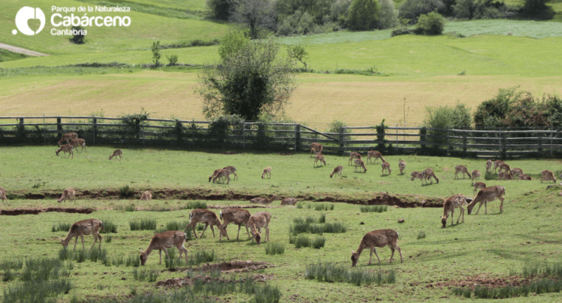 Galería Cabárceno - Parque de la Naturaleza de Cabárceno