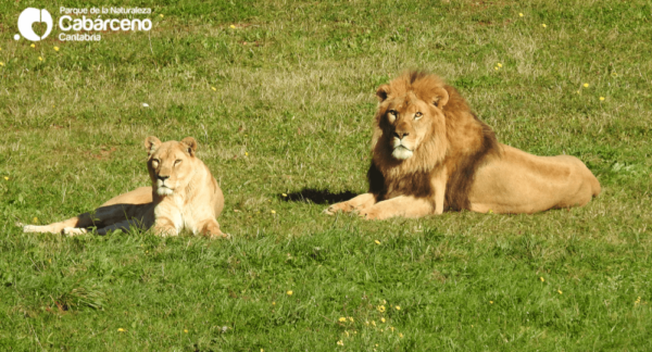 Galería Cabárceno - Parque de la Naturaleza de Cabárceno