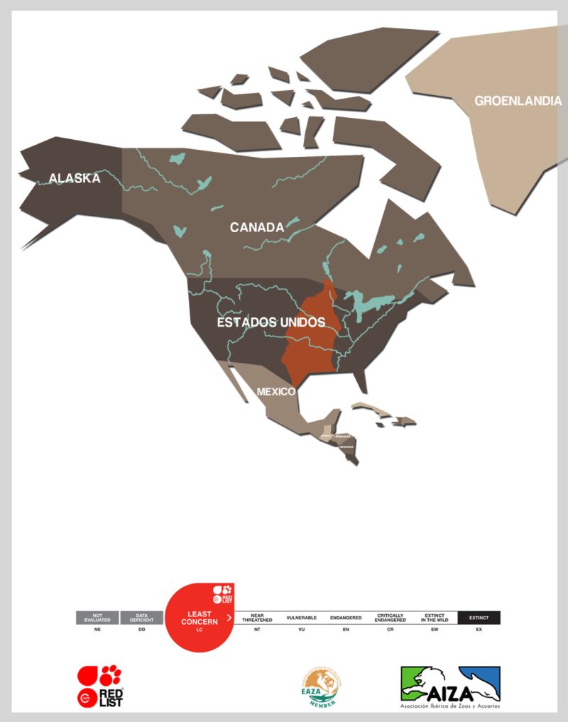 Serpiente ratonera americana - Parque de la Naturaleza de Cabárceno