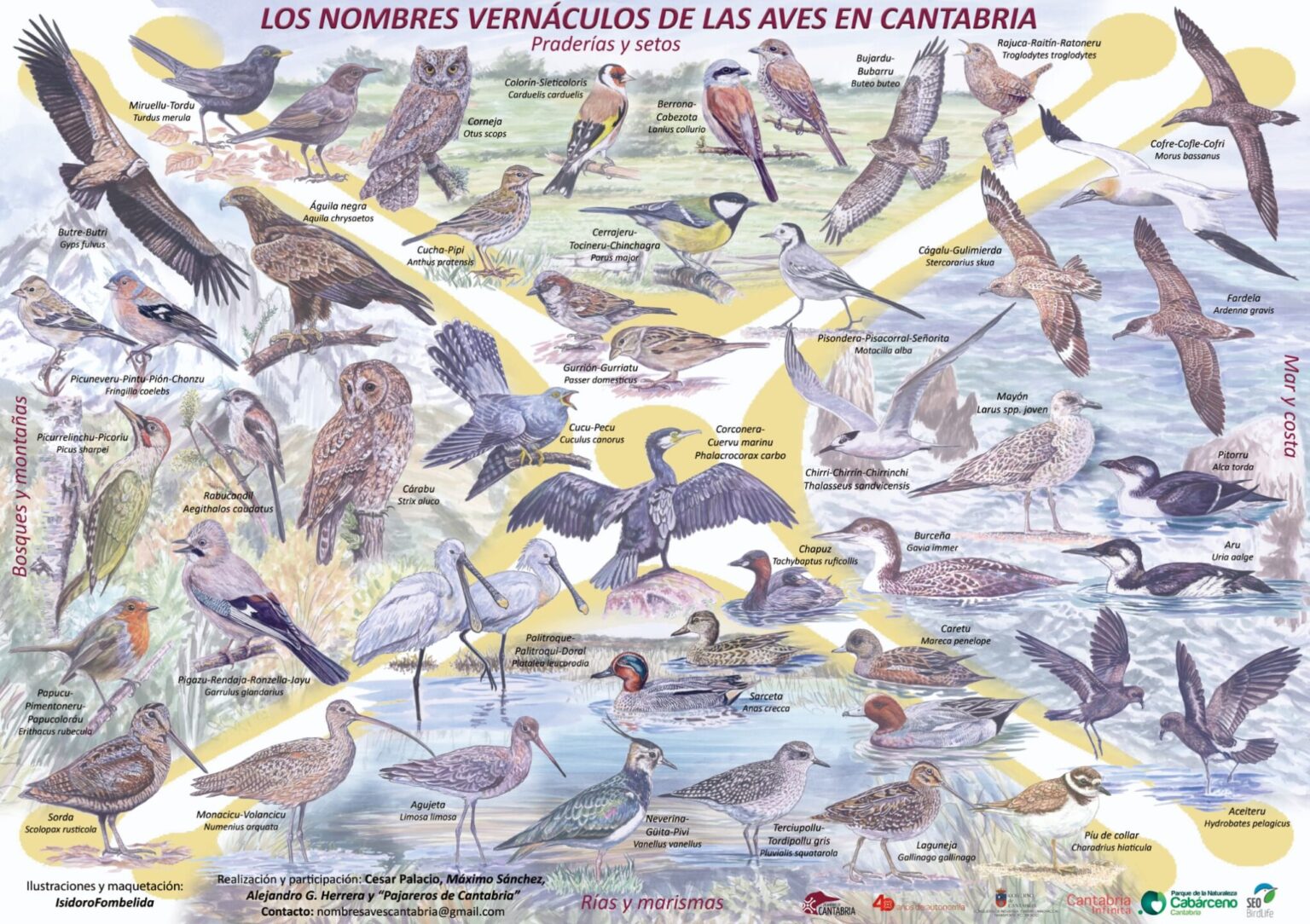 Aves archivos - Parque de la Naturaleza de Cabárceno